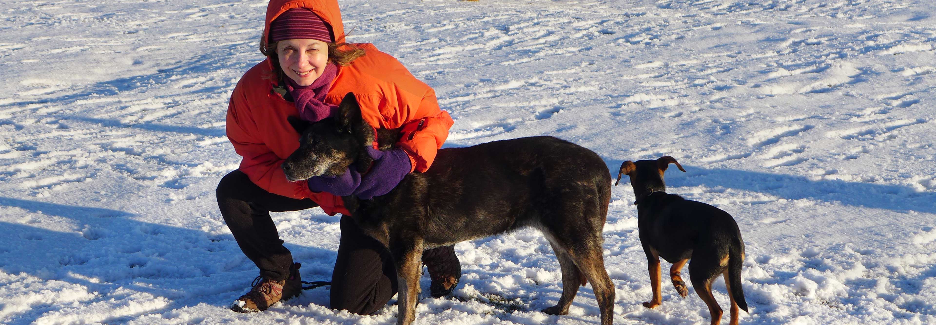 Furry Friends Cat & Dog Behaviour Training Edinburgh